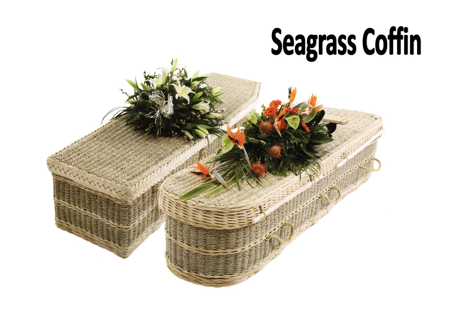 Cropped Seagrass Coffin - Herongate Wood