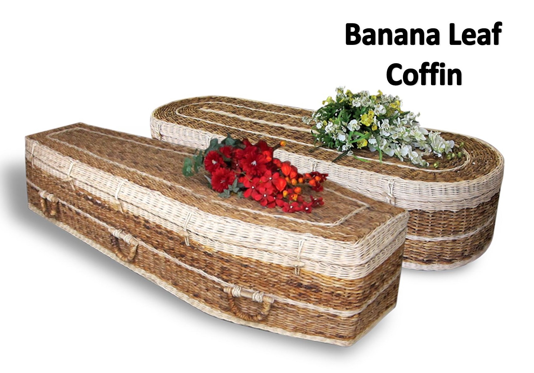 cropped Banana Leaf Coffin - Herongate Wood