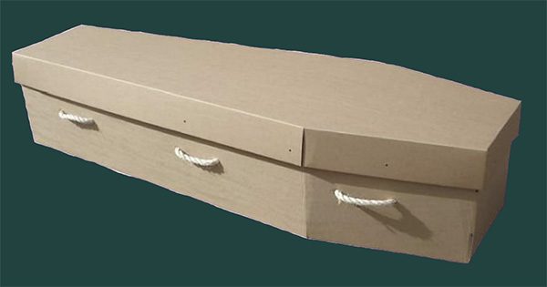 Eco Cardboard Coffin - Herongate Wood